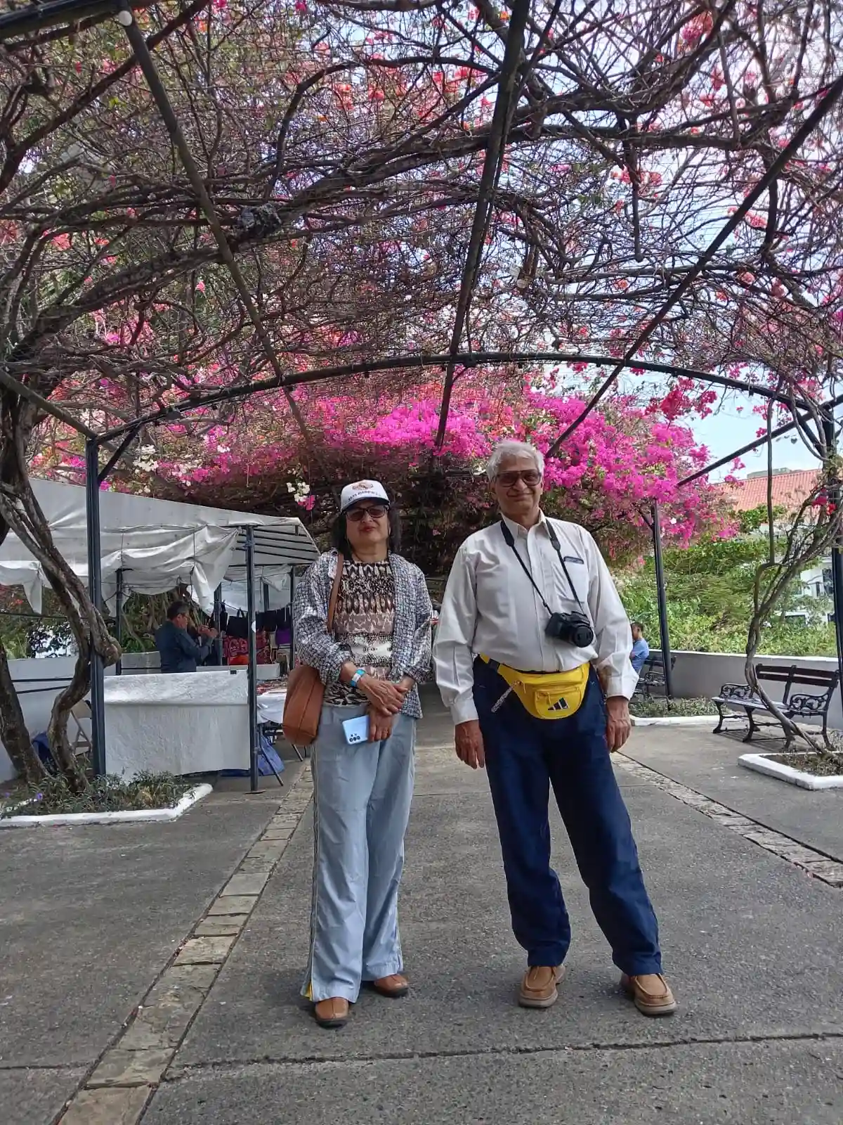 PMF Tours - Tu puerta a Panamá | Transporte y Tours Privados