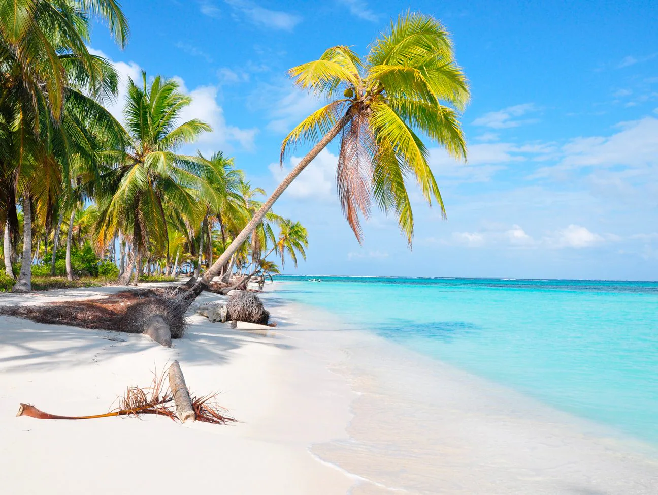 PMF Tours - Tu puerta a Panamá | Transporte y Tours Privados